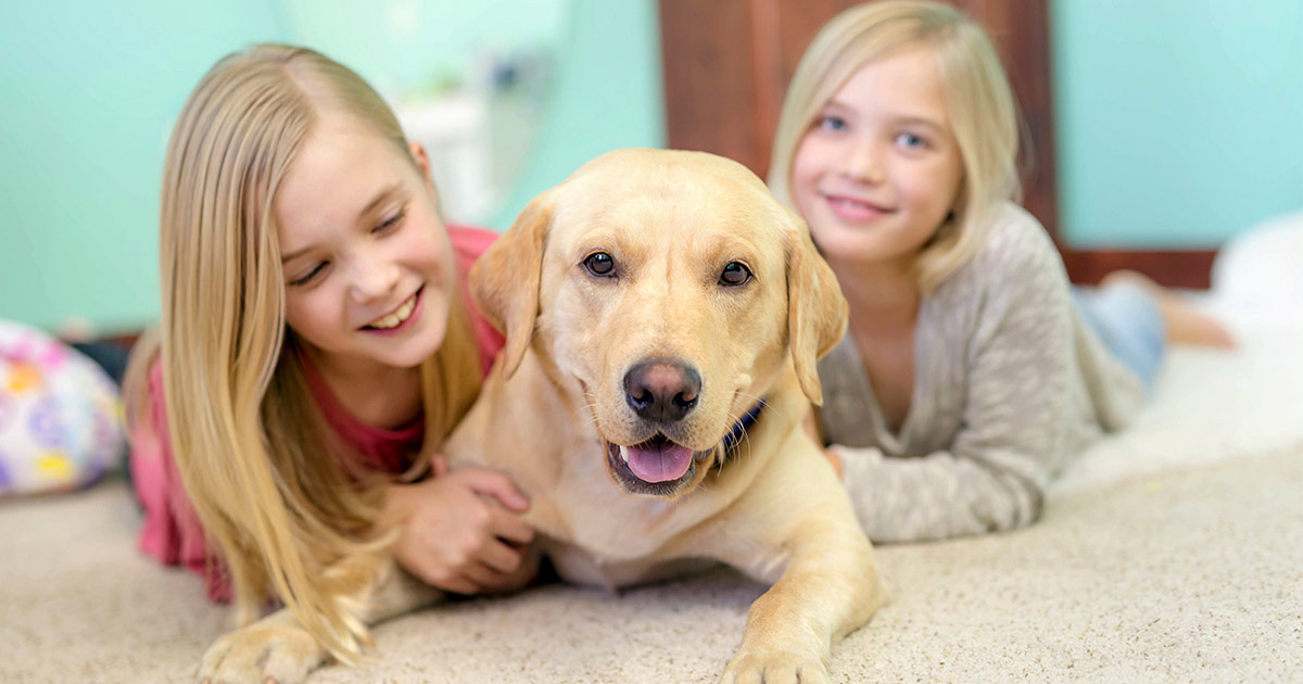 Introducing PetsApp! For all your pets needs! - Sandbeck Veterinary ...