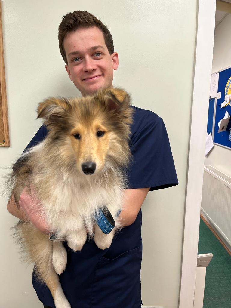 Meet our team of vets, nurses & client support at our new vets in Wetherby