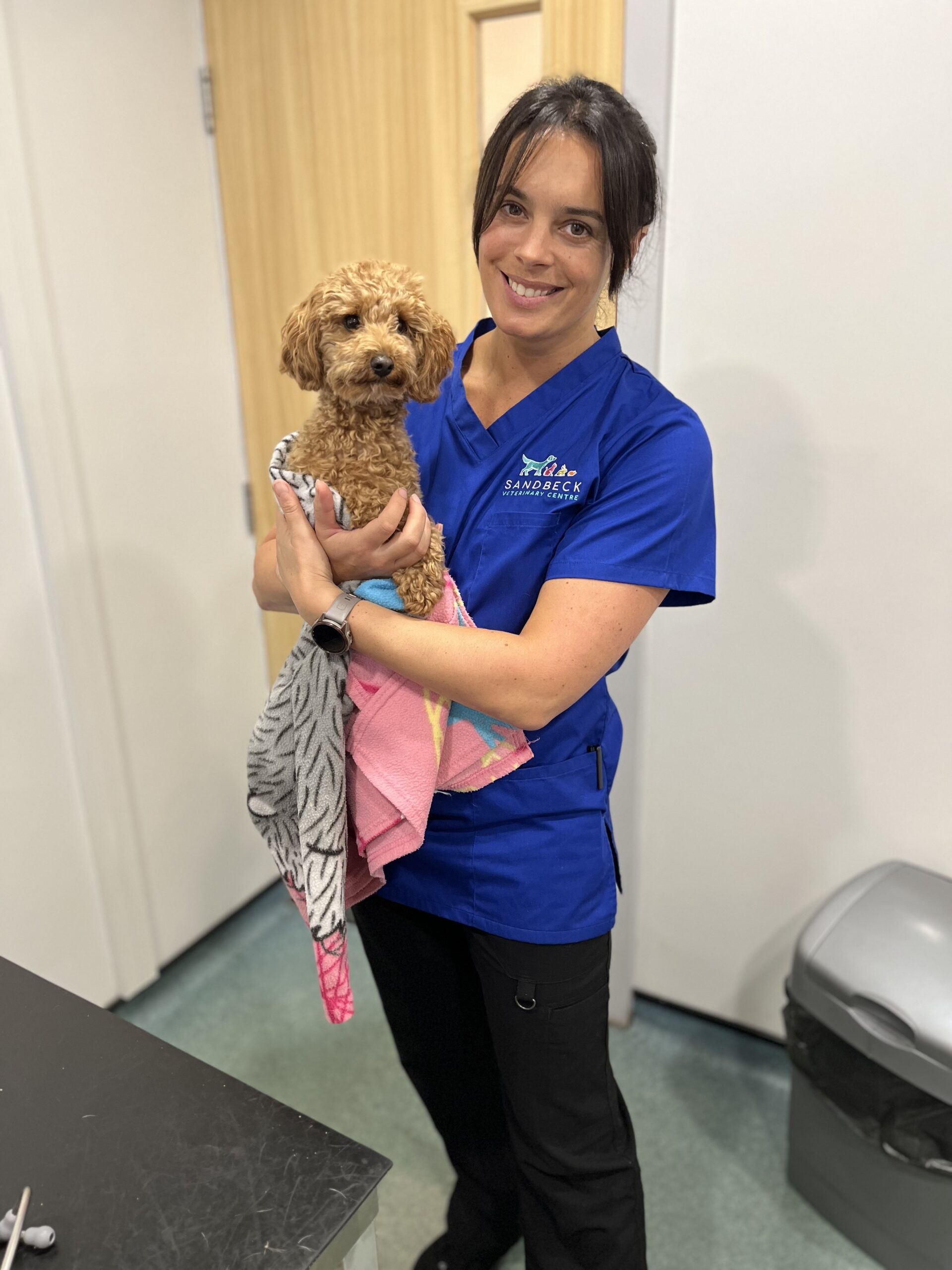 Your Fear Free Practice - Sandbeck Veterinary Centre | Wetherby Vets